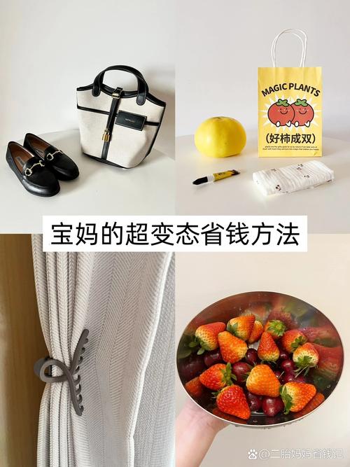 日本主妇如何省钱过日子图标