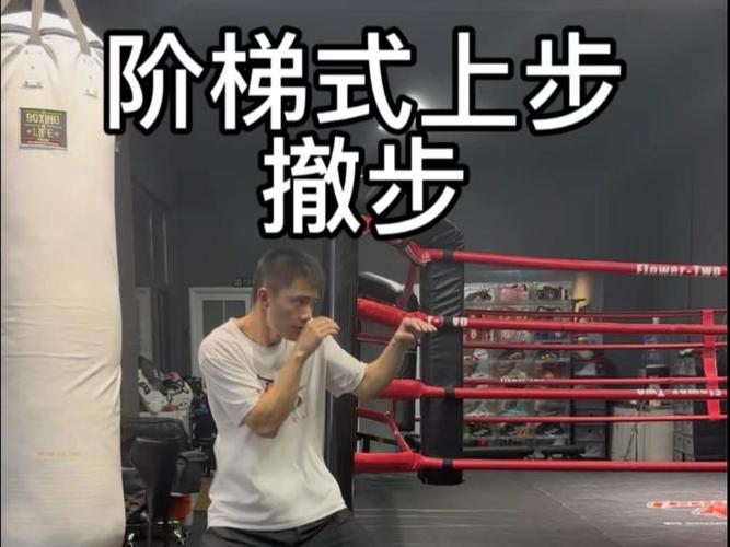 上步撤步教学视频图标