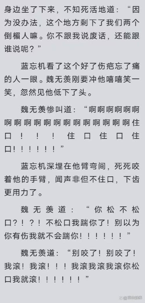 魏无羡被蓝忘机天天欺负哭了小说在图标