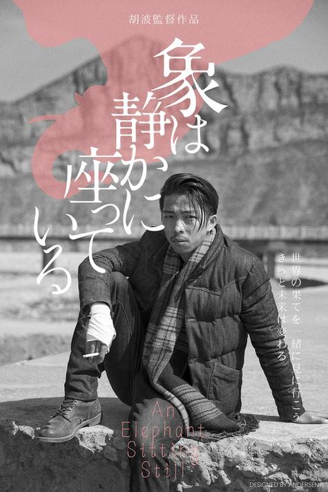 大象席地而坐 在线播放图标