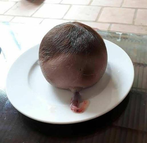 把毛球留下还是不留下好截图