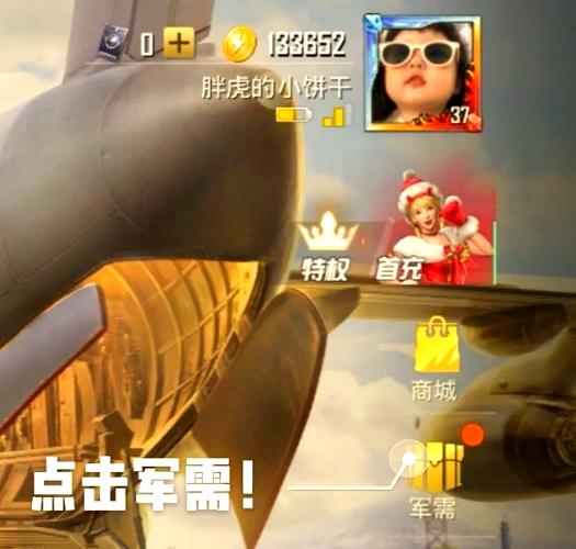 和平精英里的金币怎么用图标