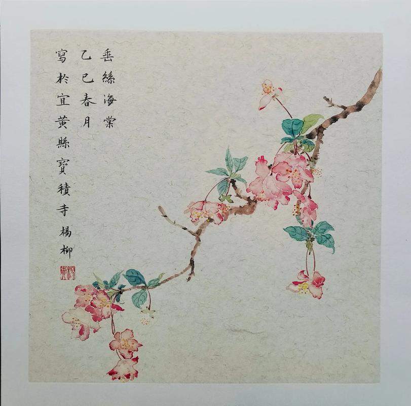 70年代的手抄本海棠截图