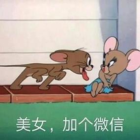 加微信图片表情包图标