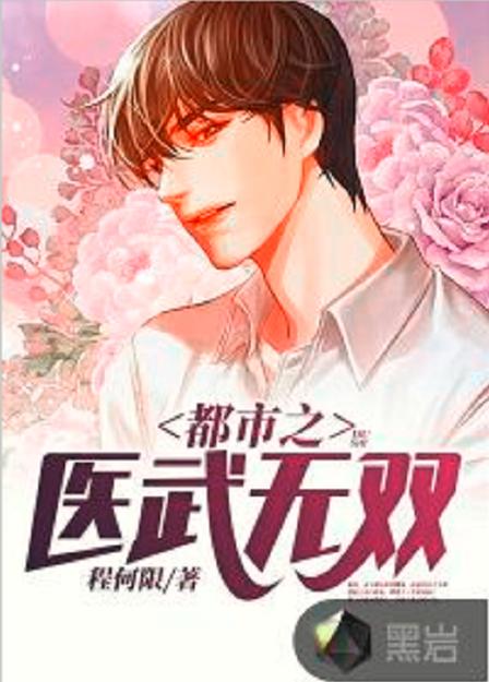 《都市之医武风流》孙哲叶巧