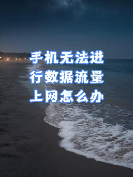 手机有流量却不能上网图标