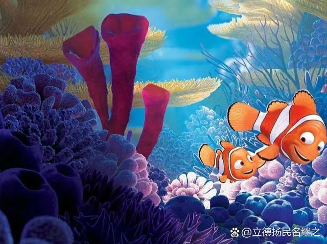 《小丑鱼》歌曲截图