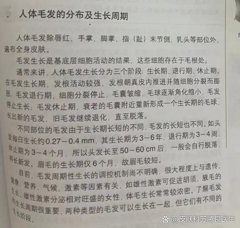 男生叫毛毛有啥含义图标