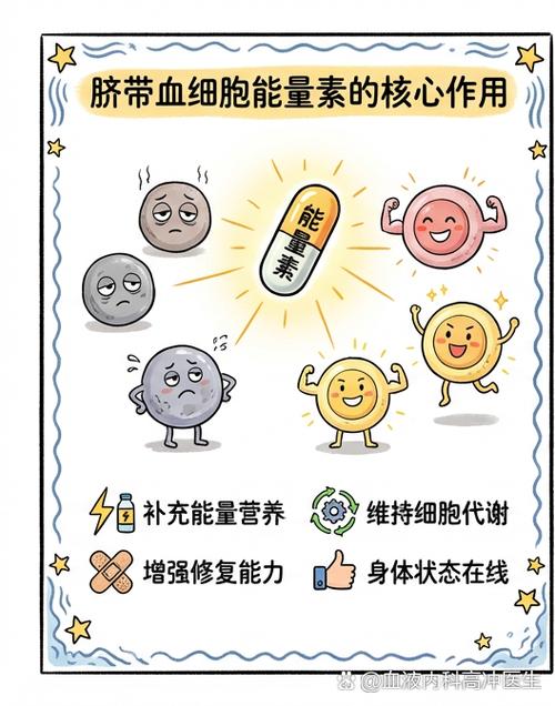补充身体能量最快的方法截图