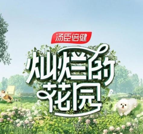 综艺节目推荐图标