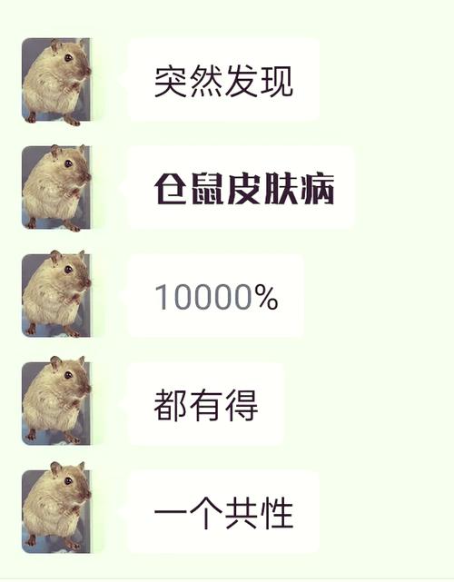 仓鼠皮肤发黑一块咋回事图标