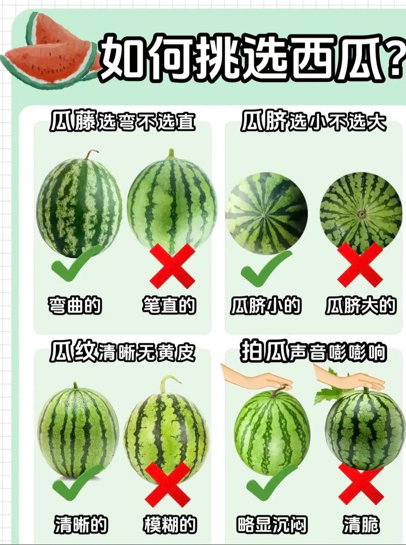 西瓜视频的注意事项图标