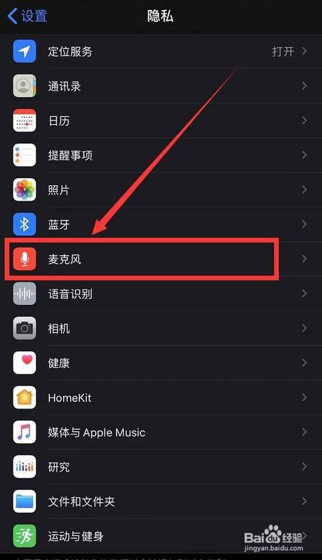 iphone的麦克风在哪里设置图标