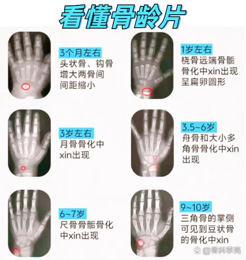 如何判断人的年龄图标