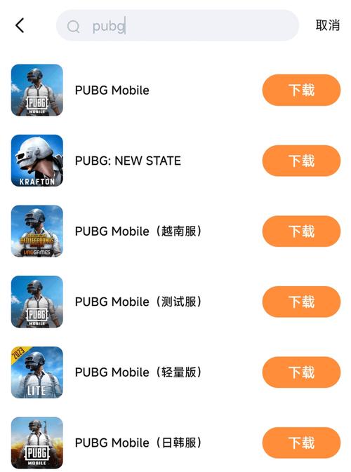 和平精英国际服文件截图