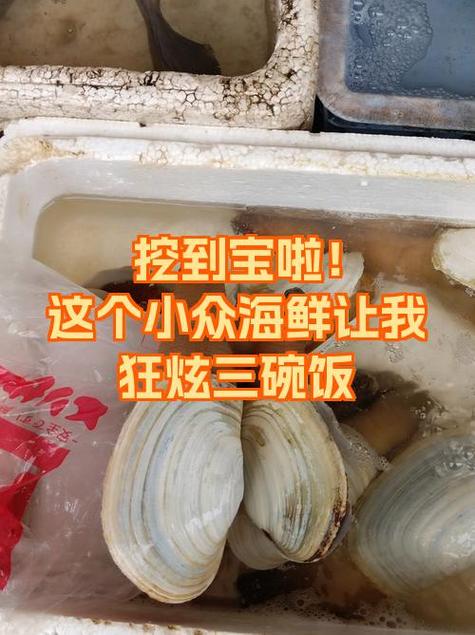 快速杀小象蚌视频截图