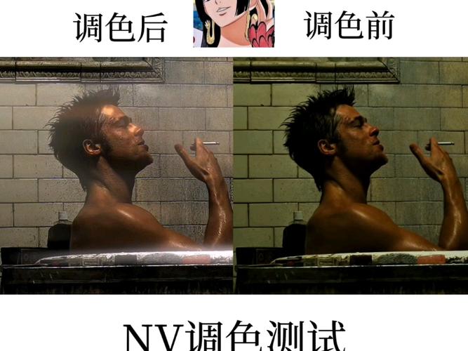 NV调色破解版截图