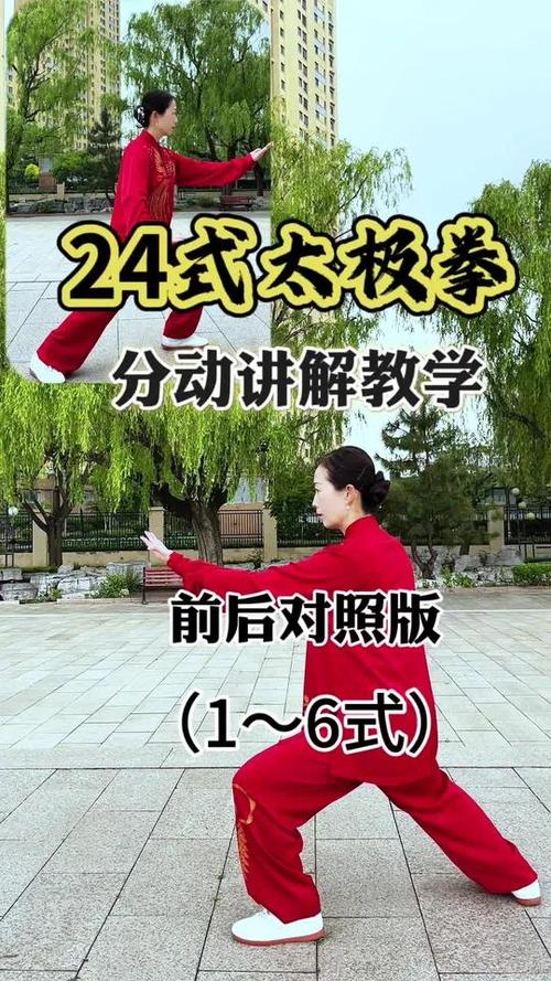 太极二十四式教学视频口令图标