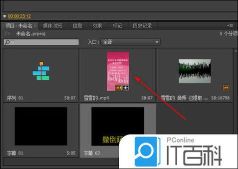 pr汉化版安装教程图标