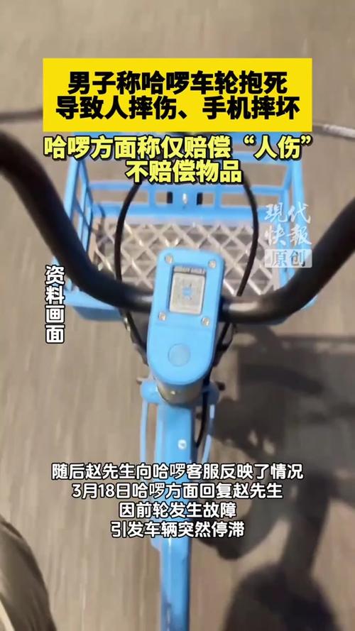 哈罗出行安全吗截图