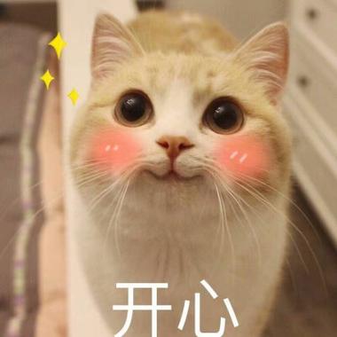 超级开心表情包图标