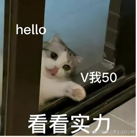 v我50这个梗哪里来的图标