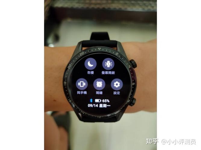 华为gt2尊享版区别图标