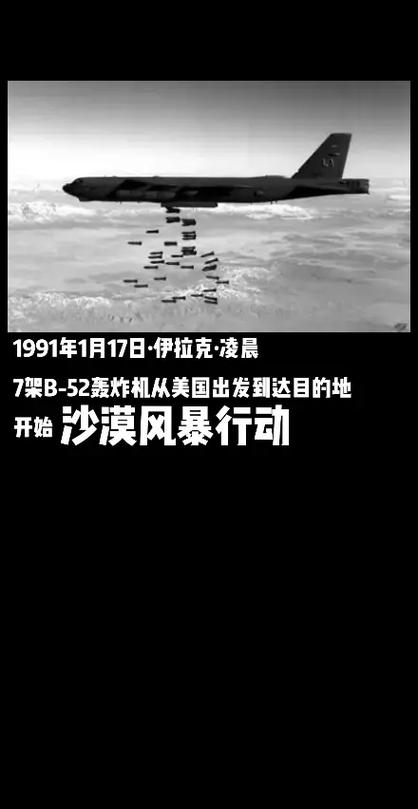 纪录片沙漠风暴截图
