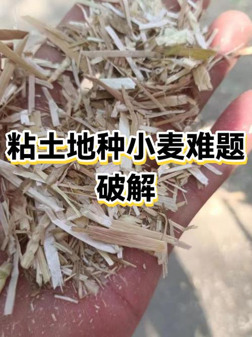 为什么我的世界土种不了东西图标