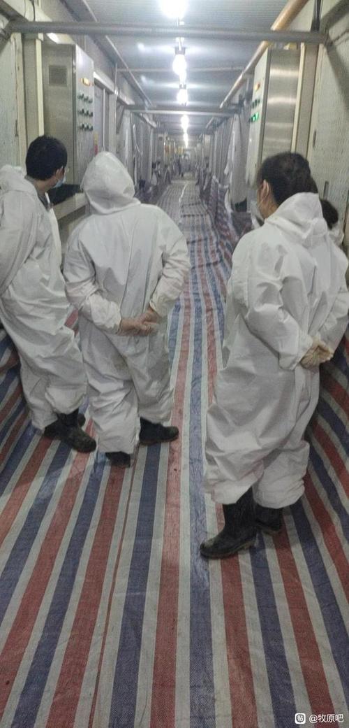 牧原集团员工待遇图标