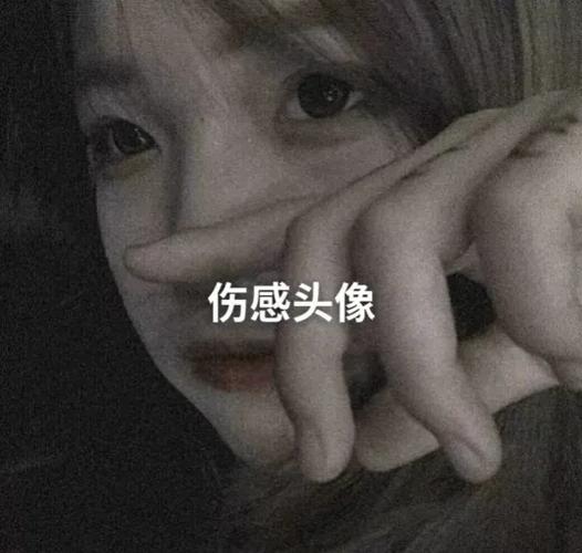 女人突然换了头像说明什么图标