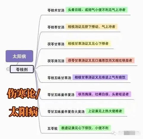 伤寒论经方归纳表图标