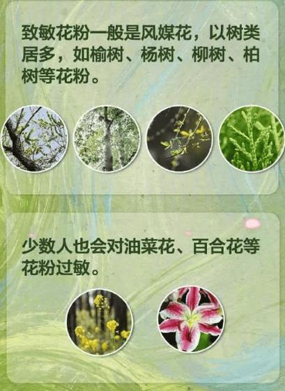 花团锦簇打一生肖最佳答案图标