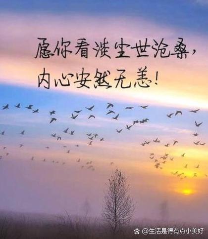 人生经历感悟图标