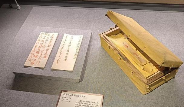 秘密立储的皇帝图标