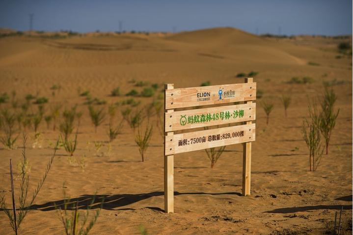 蚂蚁森林保护地能干嘛图标