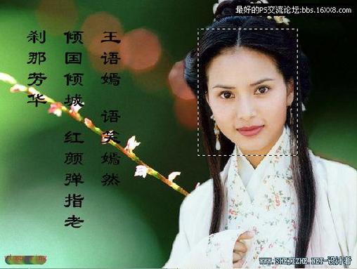 明星合成王国每天贴