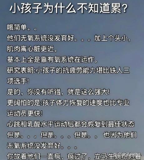 精力旺盛的海贼作弊码图标