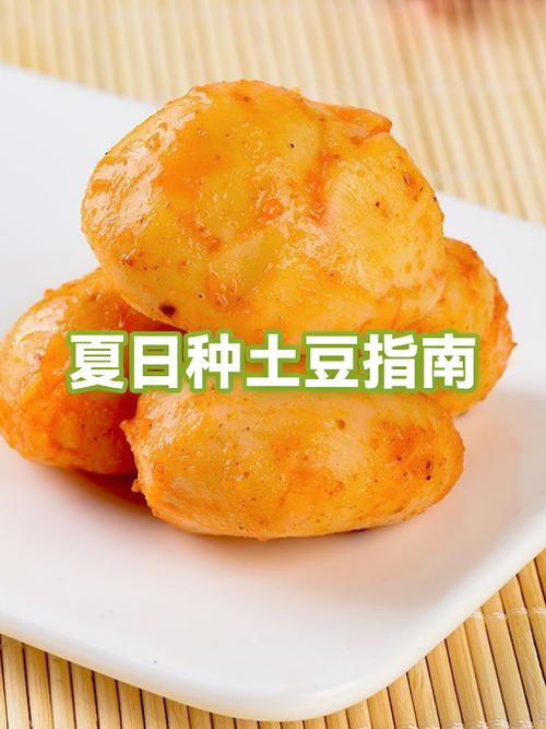 荒岛求生如何种土豆截图
