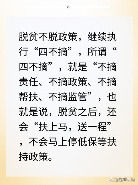 脱贫一摘四不摘截图