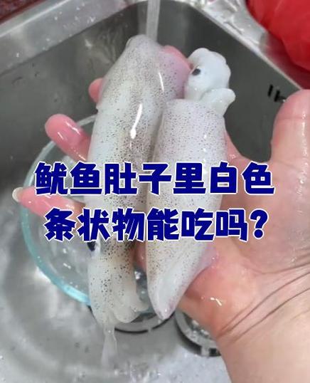 目鱼是鱿鱼吗图标
