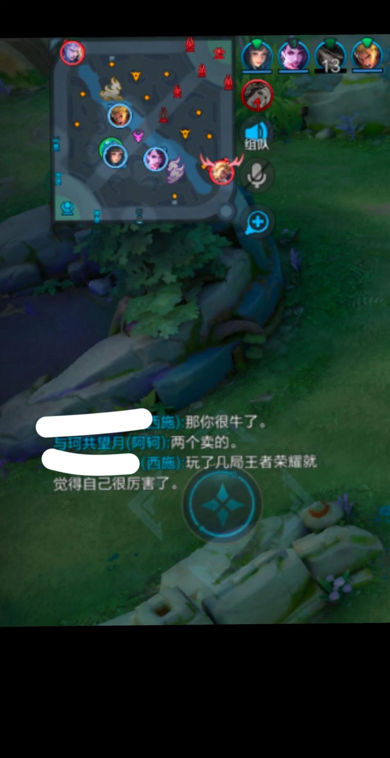 醉仙破解团队