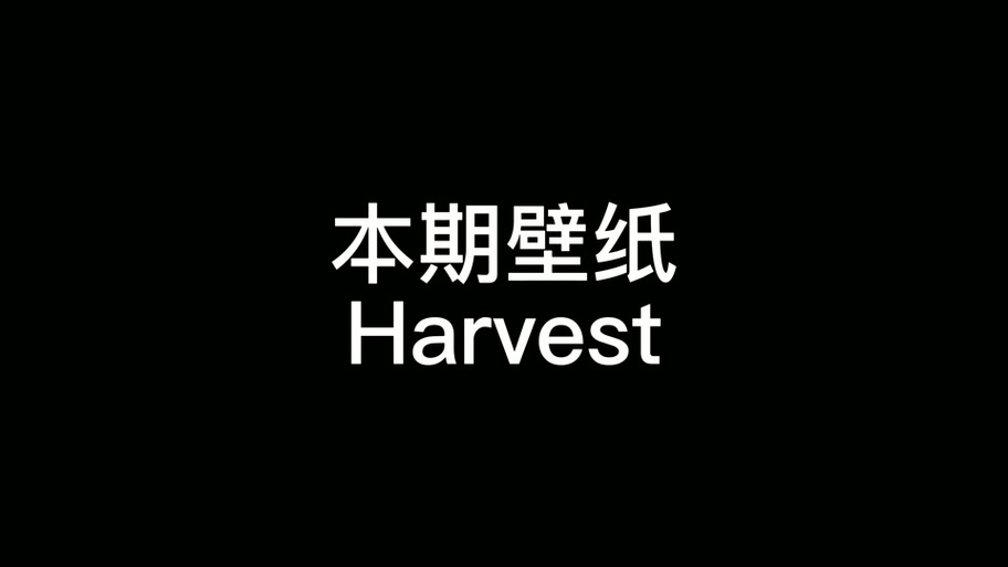 wallpaper鼠标跟随图标