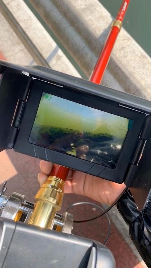 可视锚鱼效果怎么样图标