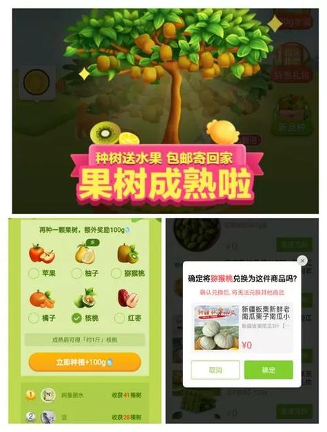 多多果园种什么划算截图