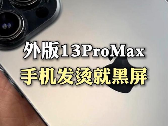 苹果13promax突然黑屏图标
