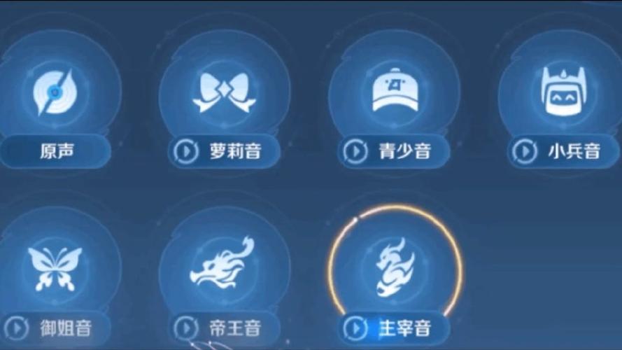 王者声音权限怎么开启图标