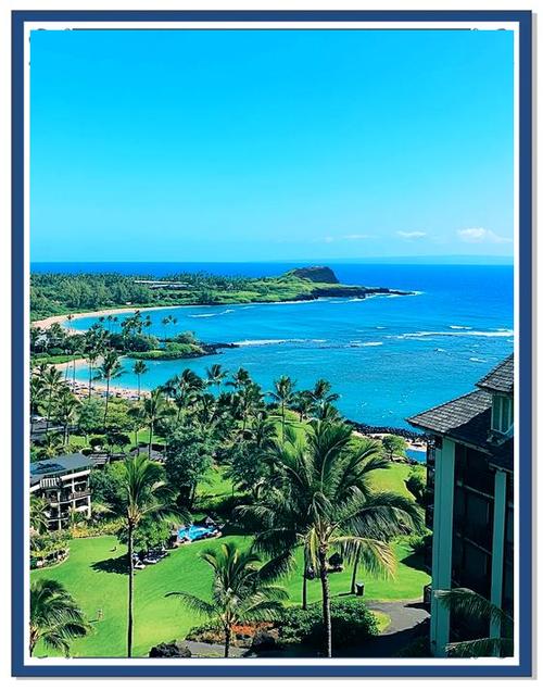 夏威夷网红拍照地截图