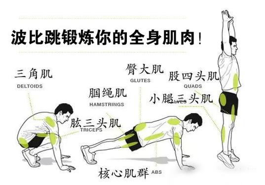 波比跳可以瘦腿吗图标