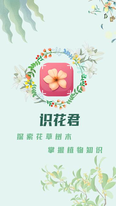 识花君图标